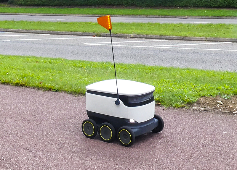 Our pavements will be crowded with robots